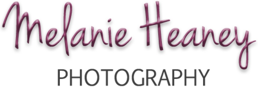 ISU International Adult Skating Competition | WFSC